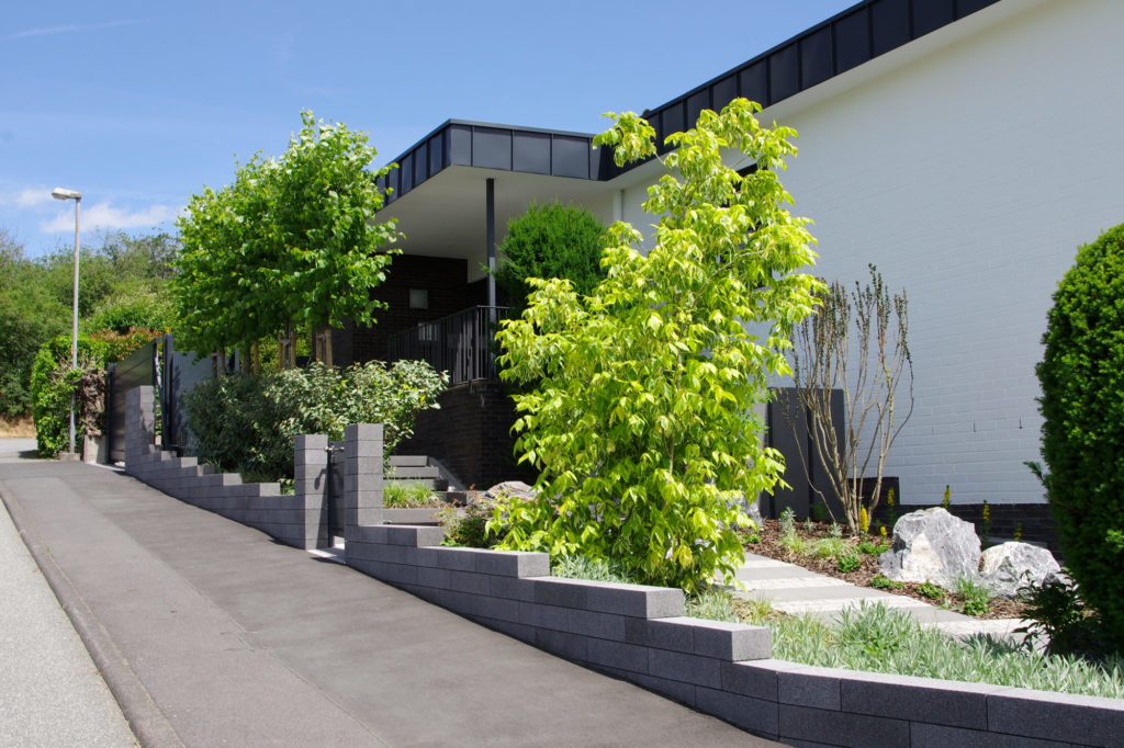 Moderner Vorgarten - gartenist. Alles Außer Gewöhnlich.